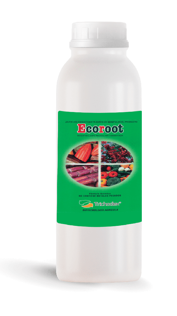 ECOROOT | PROECO
